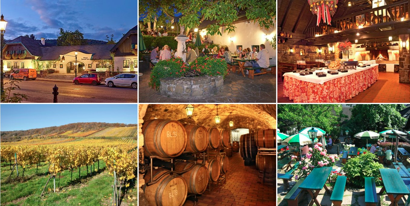 Social Events – IVIS 2025